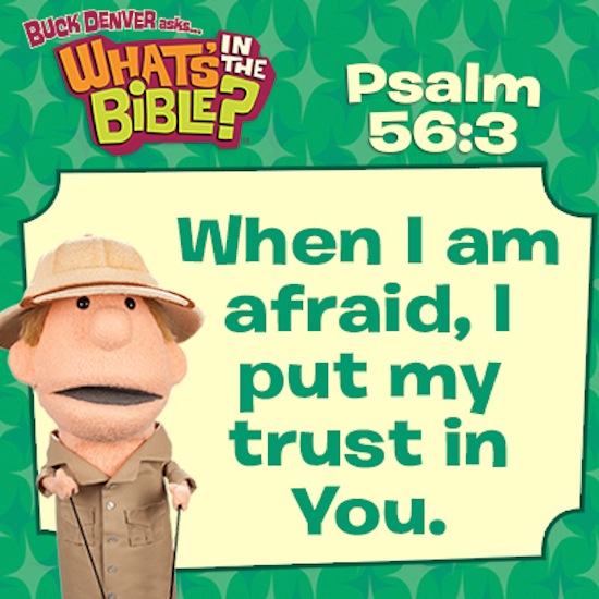 Psalm 56-3 - Whats in the Bible