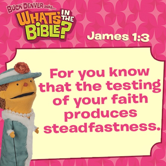 James 1:3 - Verse of the Day 5/20/13 - Whats in the Bible
