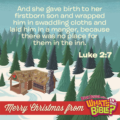 Luke 2:7 - Advent Verse of the Day 12/11/13 - Whats in the Bible