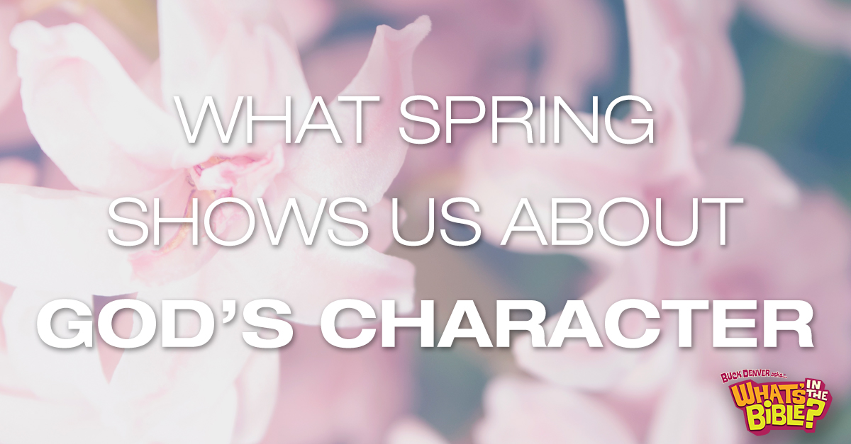 What Does Spring Show Us About God's Character?