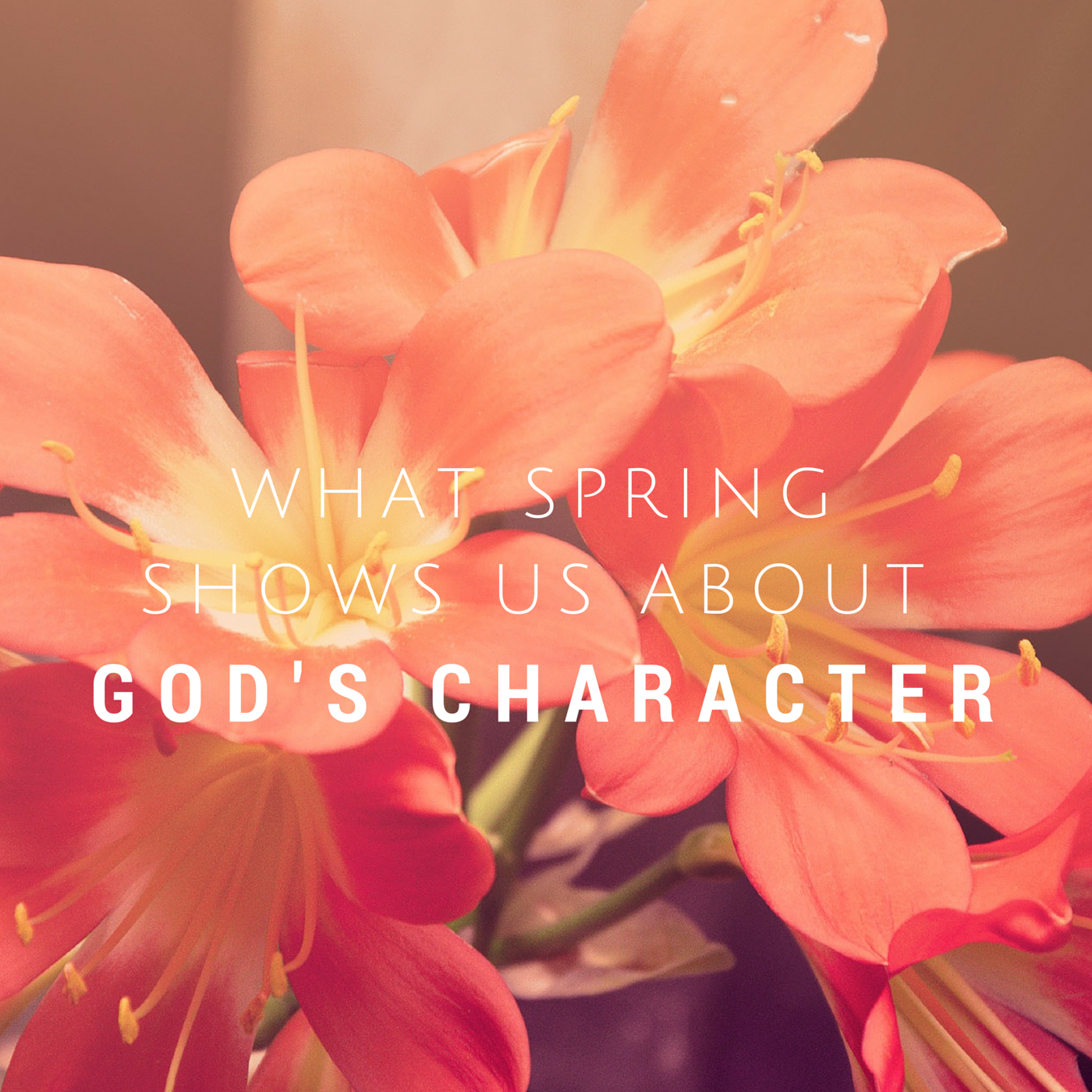 What Does Spring Show Us About God's Character? | Whats in the Bible